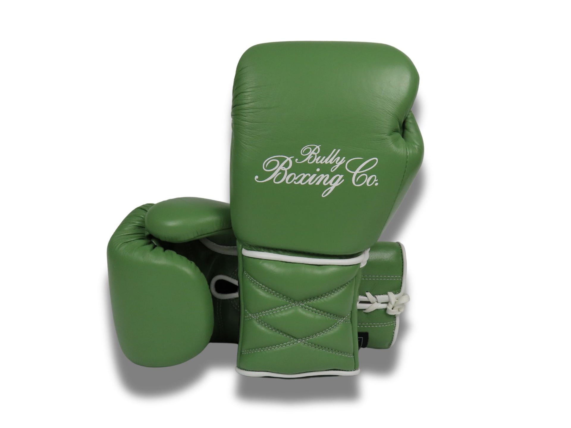 2nd Edition “Money” Gloves – Bully Boxing Co.