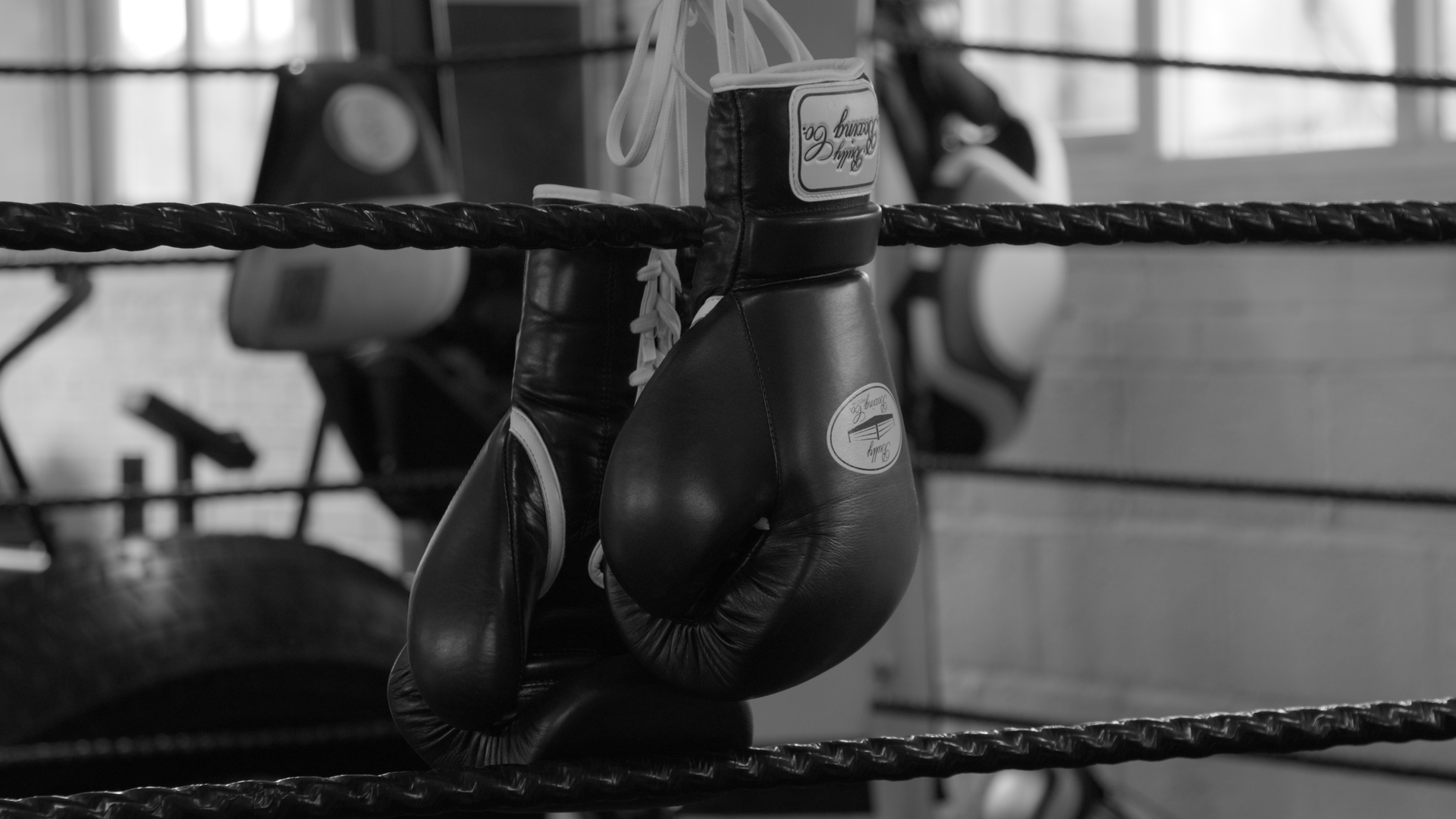 Bully Boxing Co – Bully Boxing Co.